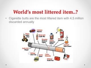 Litter Pollution | PPTX