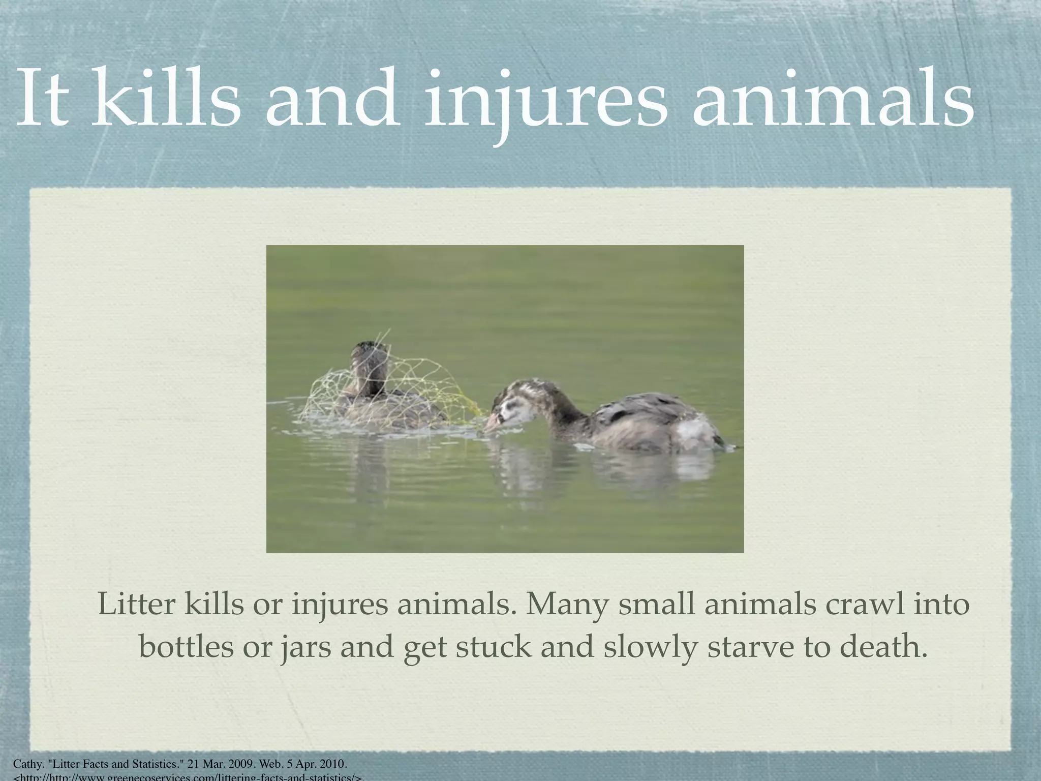 Littering Keynote | KEY