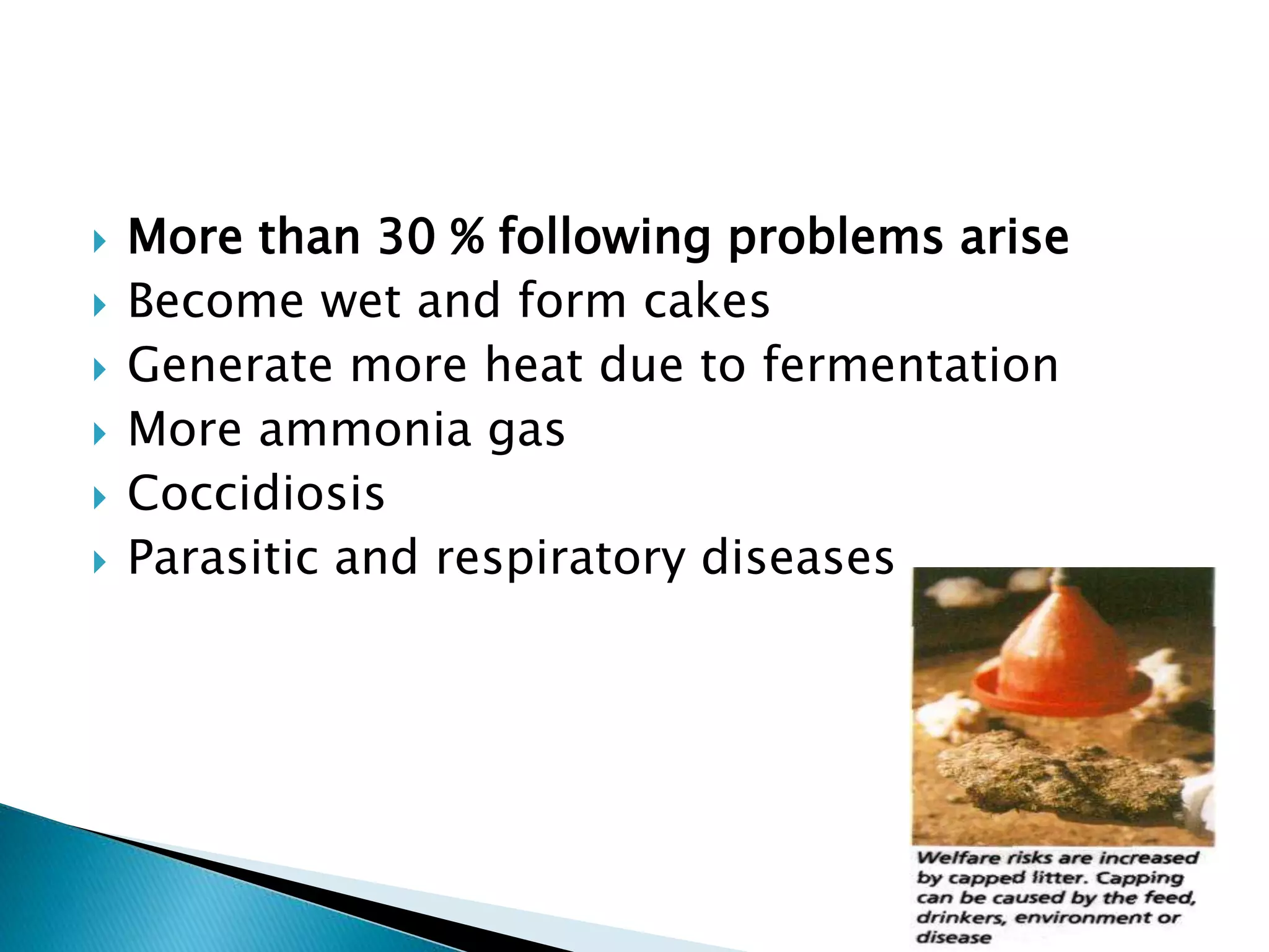Litter management and Litter born Diseases | PPTX