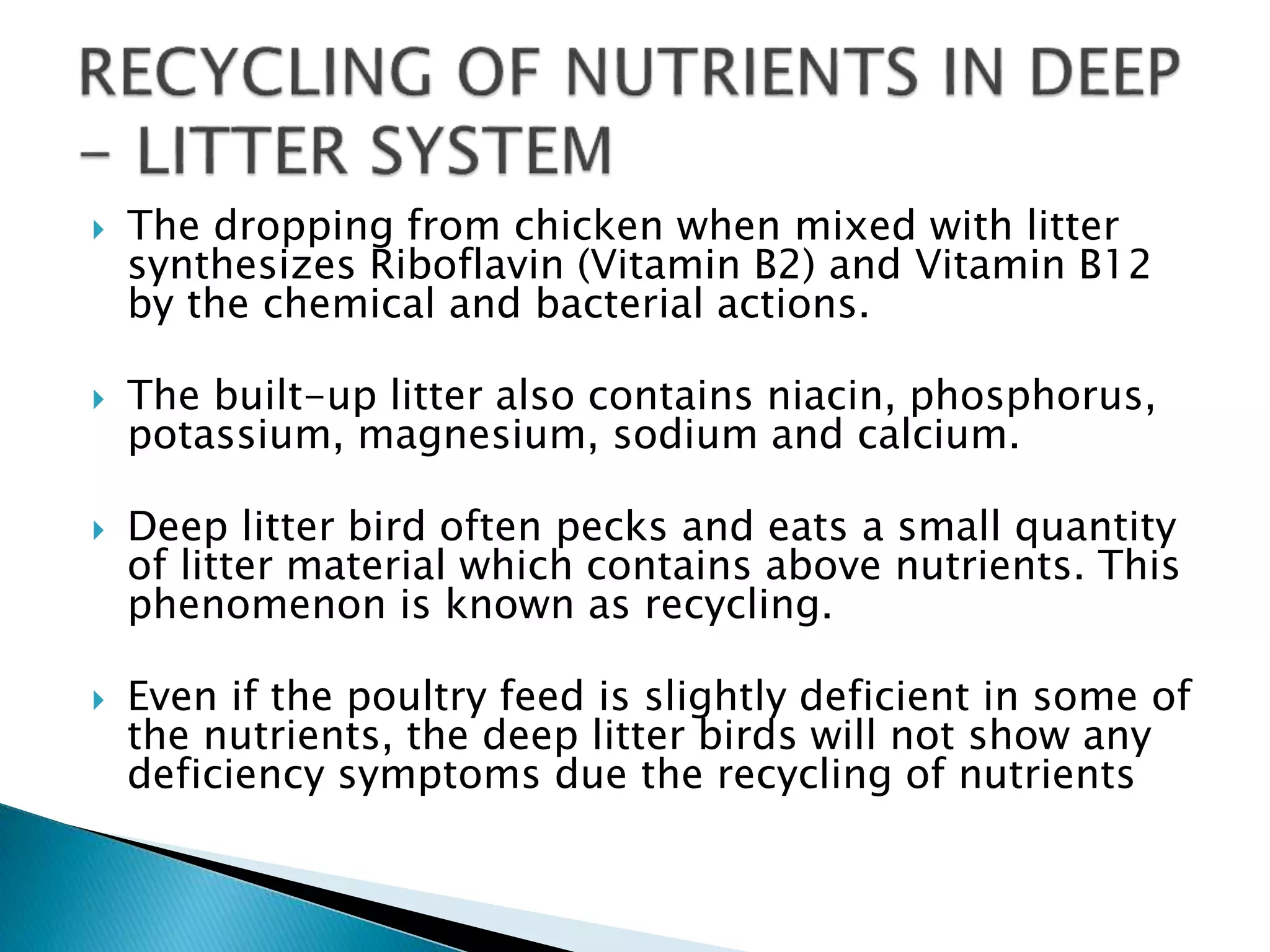 Litter management and Litter born Diseases | PPTX