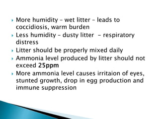 Litter management and Litter born Diseases | PPTX