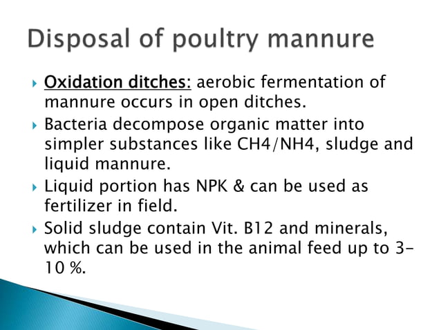 Litter management and Litter born Diseases | PPTX | Agriculture ...