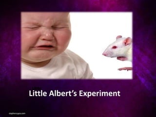 John Watson Little Albert