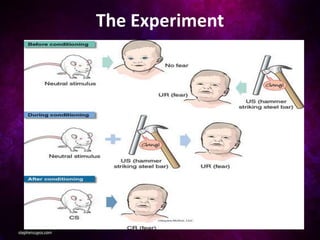 Classical Conditioning Little Albert