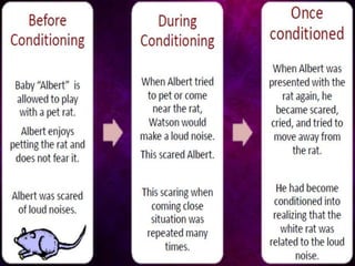 Classical Conditioning Little Albert