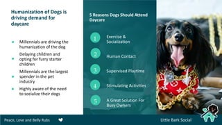 Little Bark Social | PPT