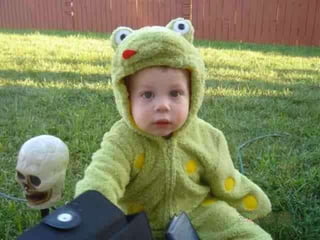 Little critters | PPSX