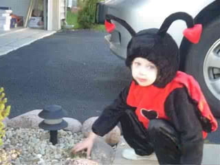 Little critters | PPSX