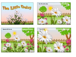 Little daisy | PPT