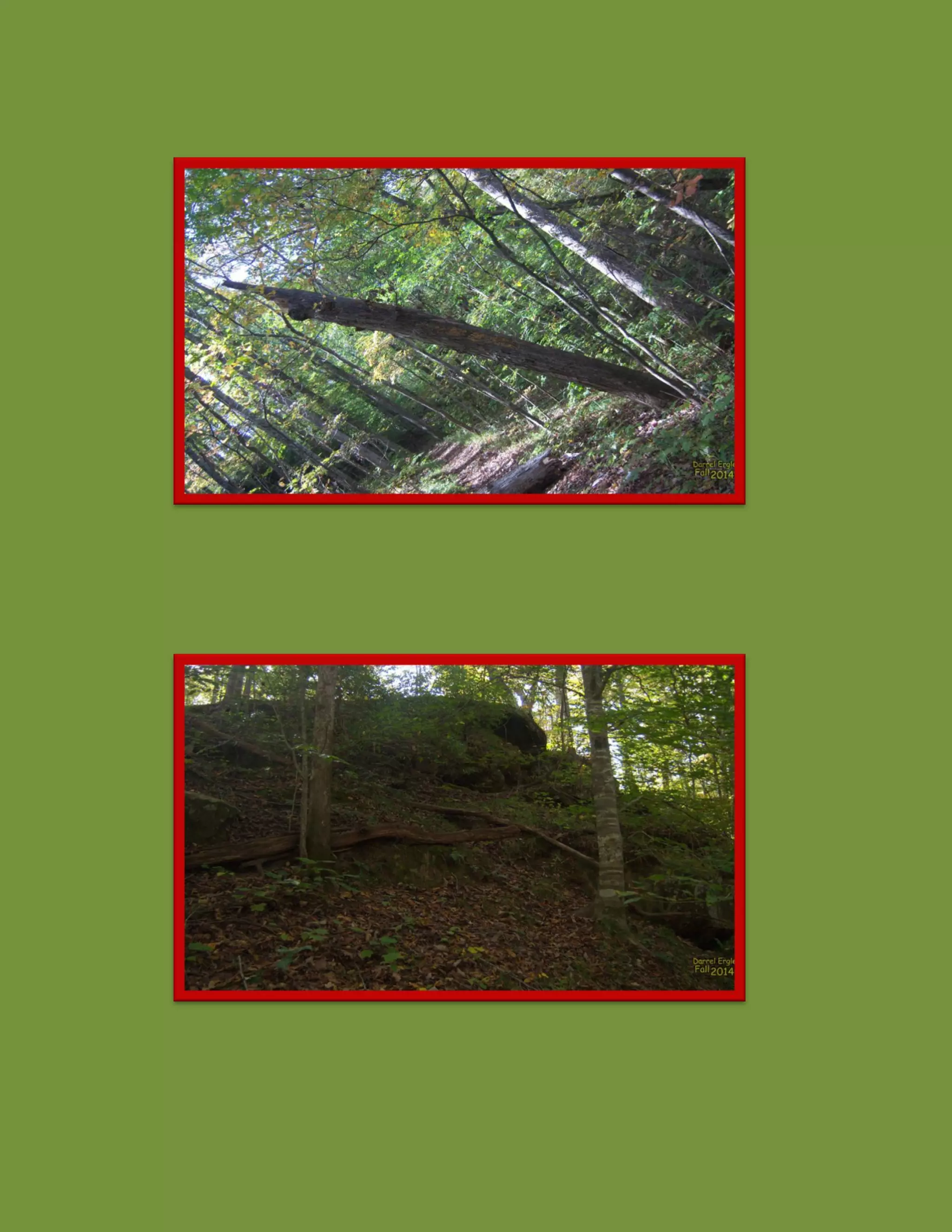 Little naturalbridge2014 | PDF