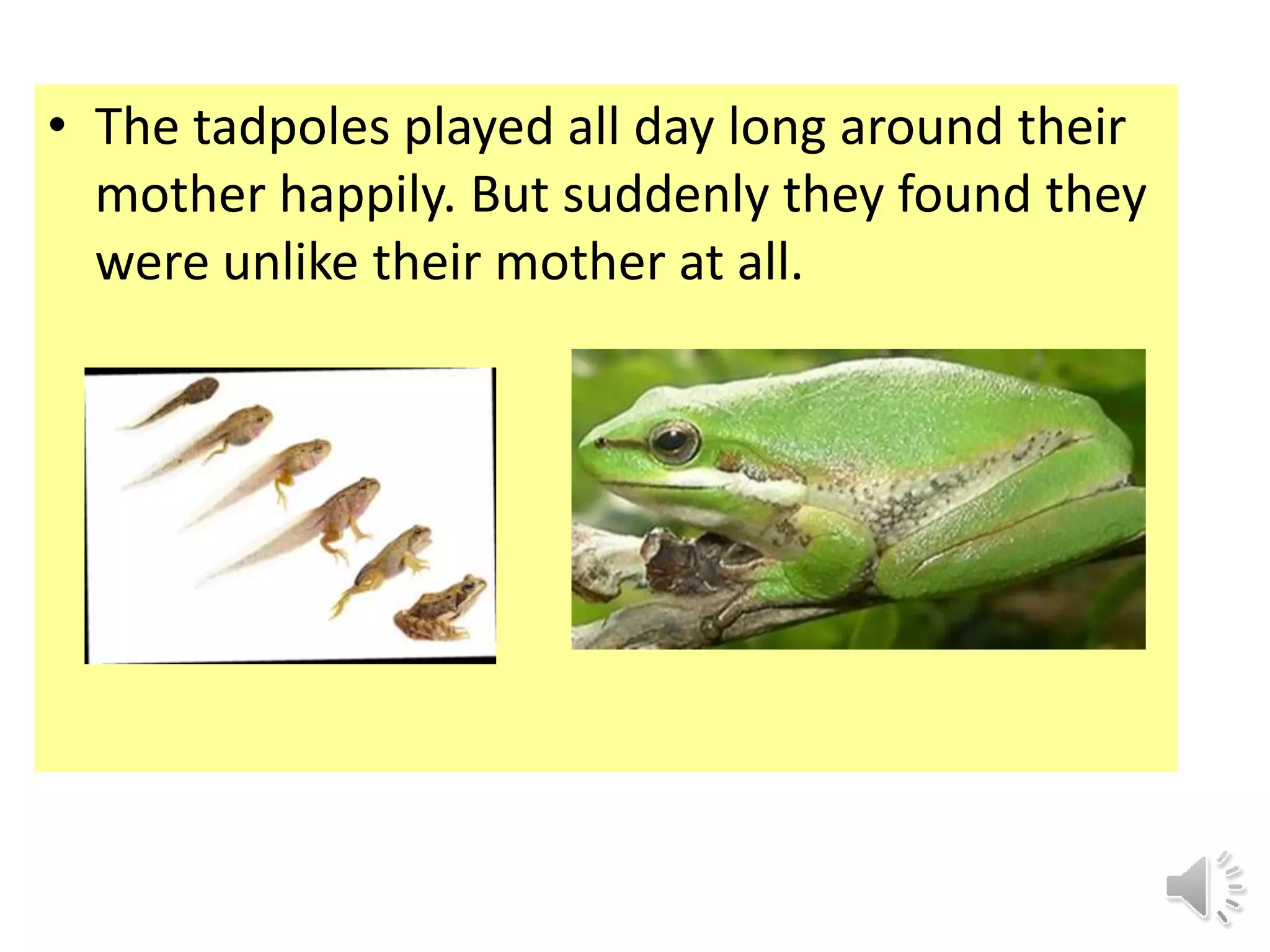 Little tadpole looking for mummy | PPTX