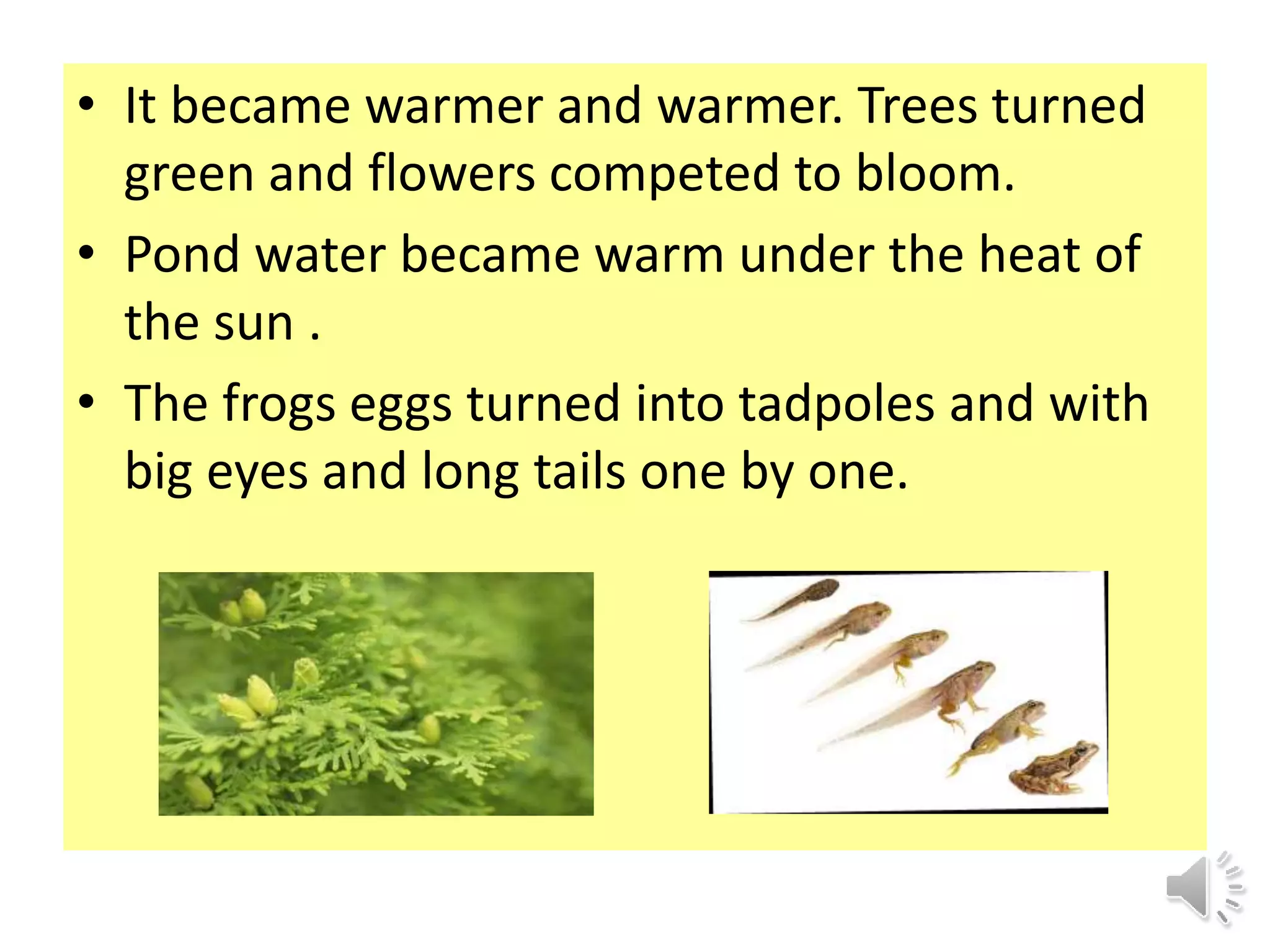 Little tadpole looking for mummy | PPTX