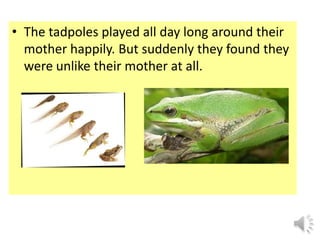 Little tadpole looking for mummy | PPTX
