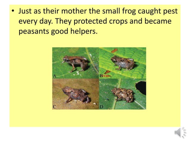 Little tadpole looking for mummy | PPTX | Birds | Pets