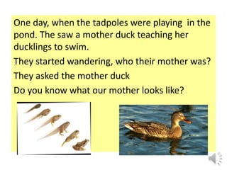 Little tadpole looking for mummy | PPTX
