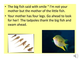 Little tadpole looking for mummy | PPTX