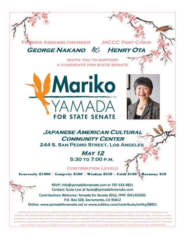 Flyer - State Senate Campaign