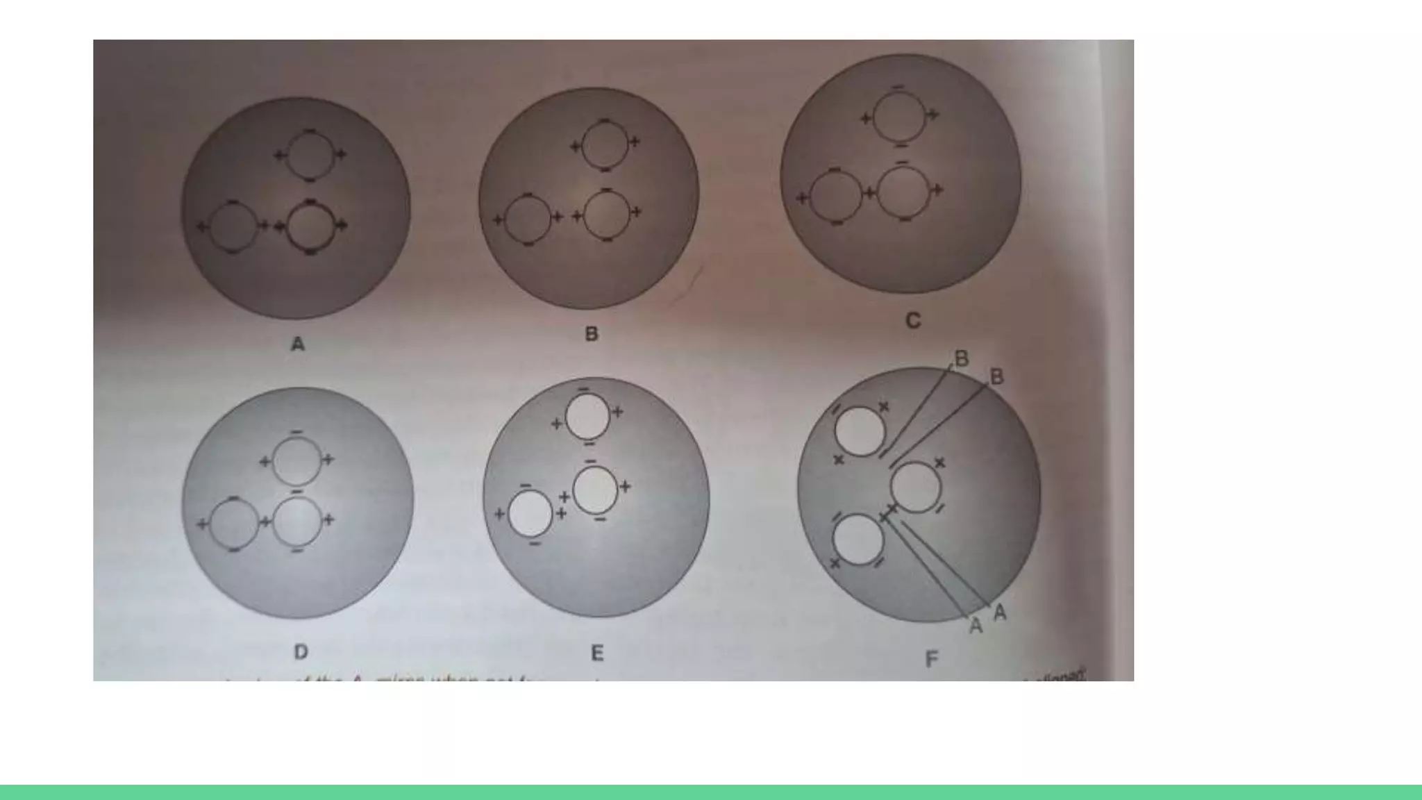 litty keratometry.pptx