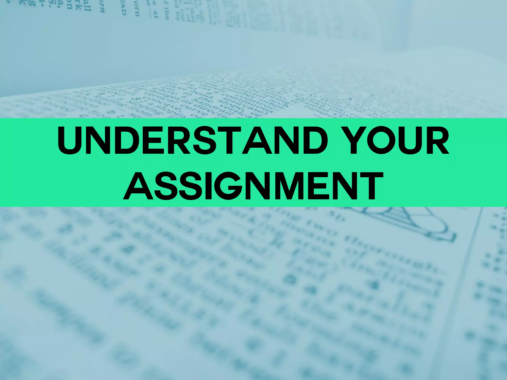 Understand Your Assignment | PDF