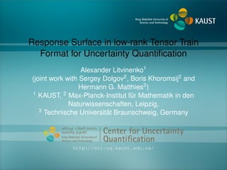 Tensor Train data format for uncertainty quantification | PDF