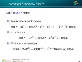 Matrix determinant | PDF