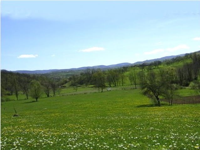 Livada kao staniste | PPT