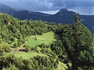 Livada kao staniste | PPT