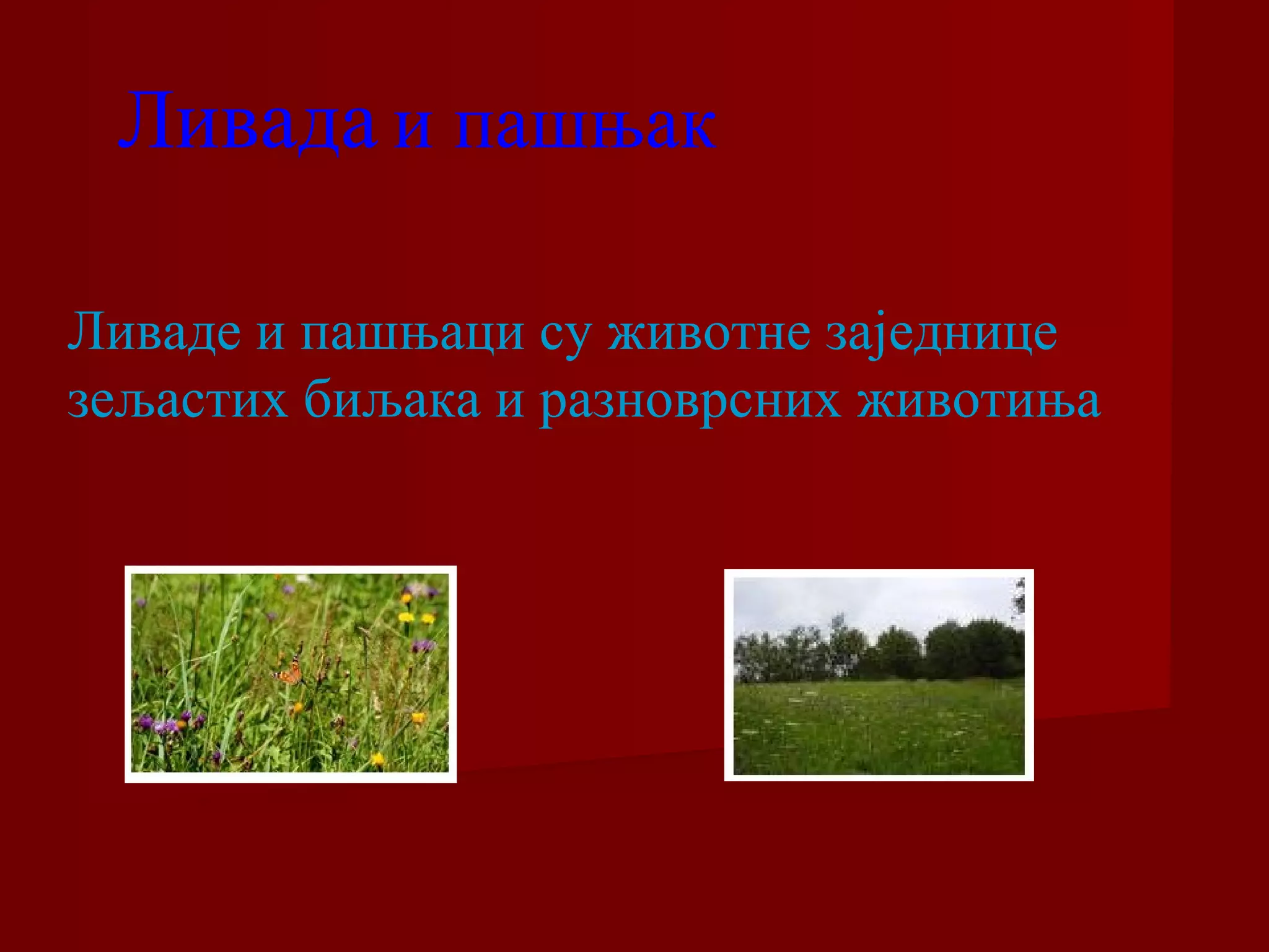 Livade i pasnjaci (1) | PPT