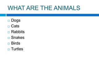 Live animals regulations | PPTX