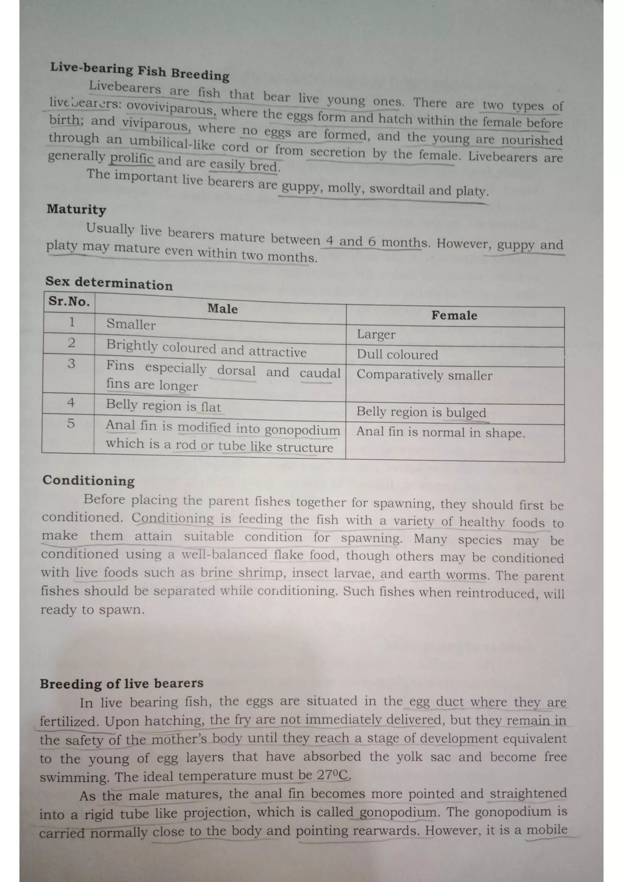 LIVE BEARING FISH BREEDING | PDF