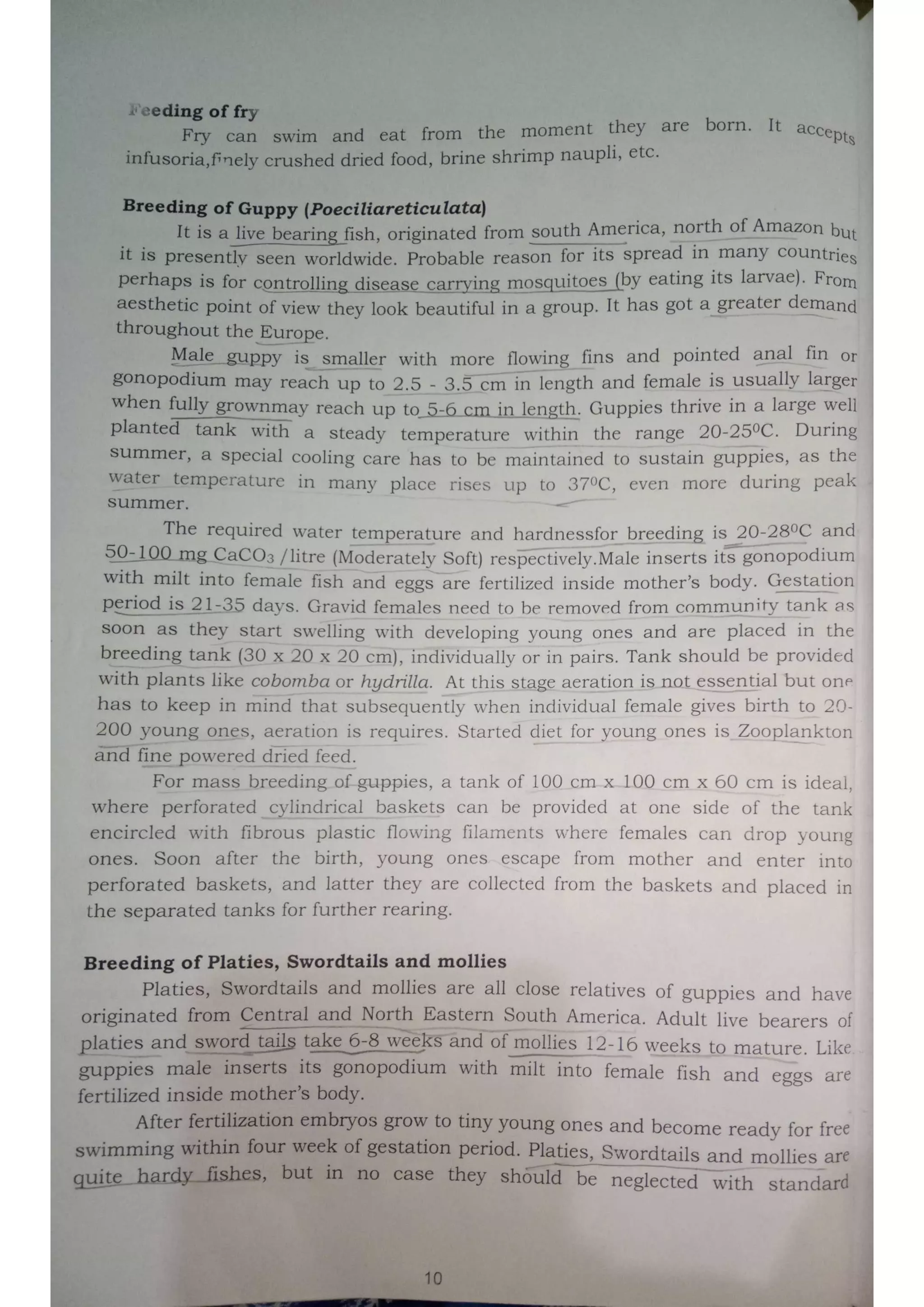 LIVE BEARING FISH BREEDING | PDF