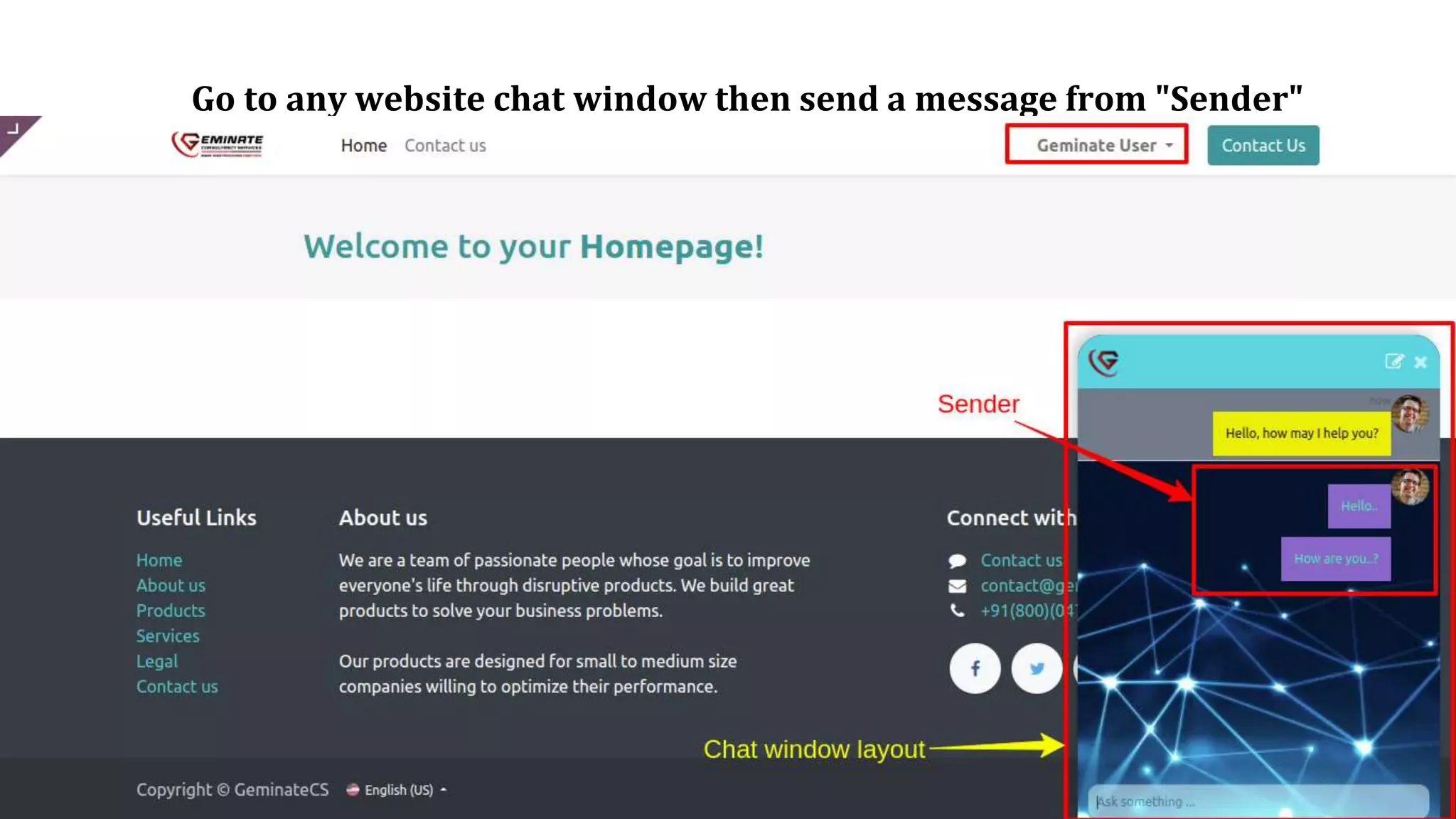 Livechat Window Theme | PPTX | Internet | Computing