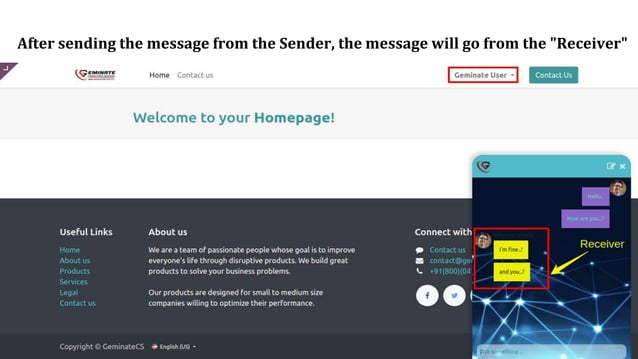 Livechat Window Theme | PPTX | Internet | Computing
