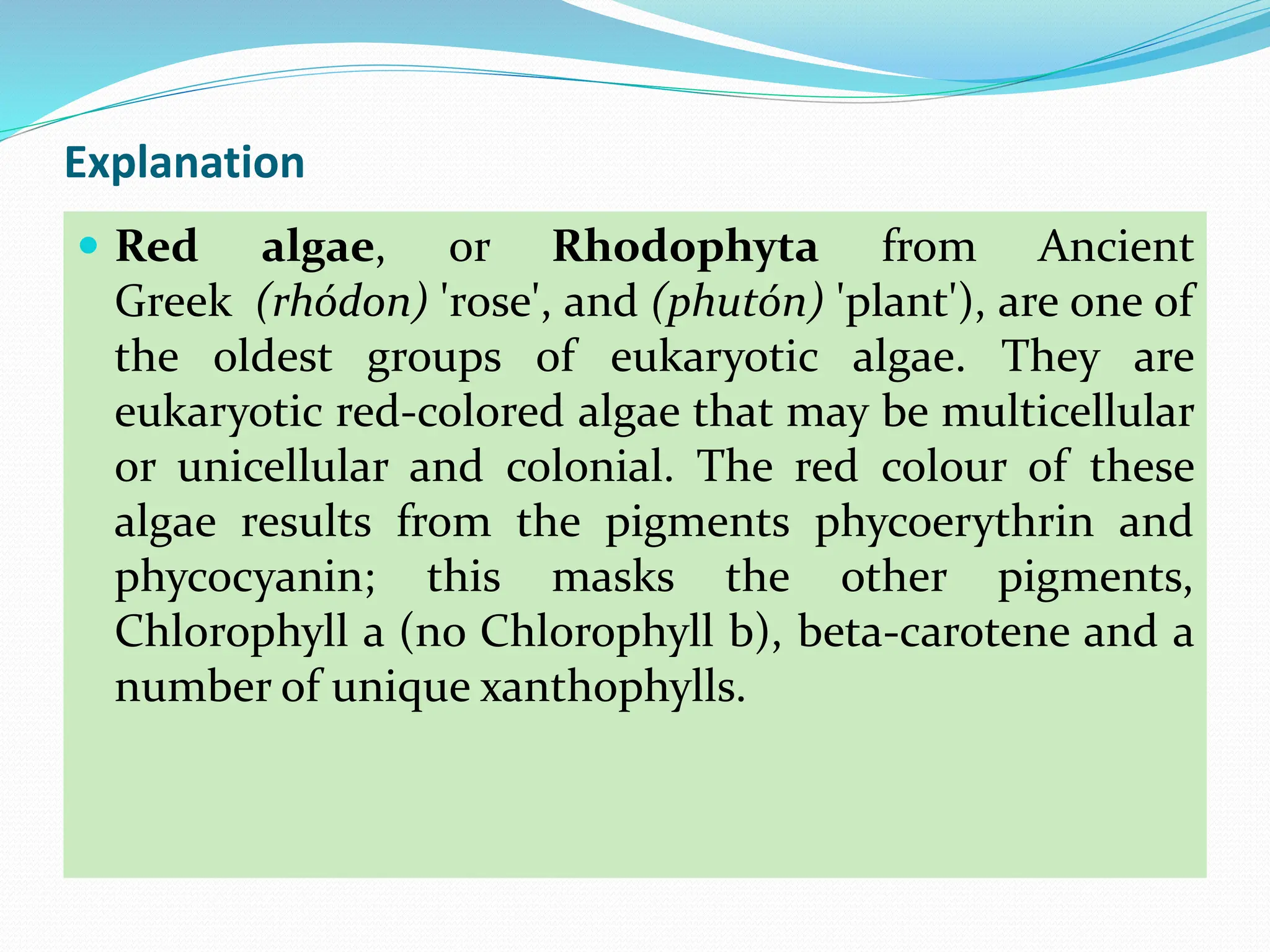 Prokaryotes and Eukaryotes Mcq Questions & Discussion | PPTX