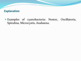 Prokaryotes and Eukaryotes Mcq Questions & Discussion | PPTX