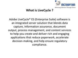 MetaOption Live cycle | PPT