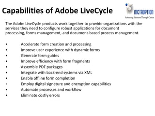 MetaOption Live cycle | PPT