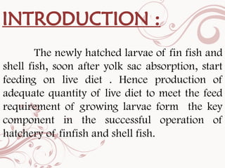 live feed and ornamental fish for b.f.sc.pptx