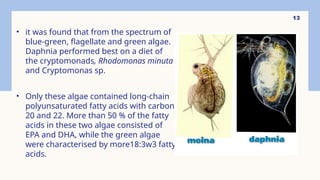 Live feed in aquaculture.pptx............ | PPTX