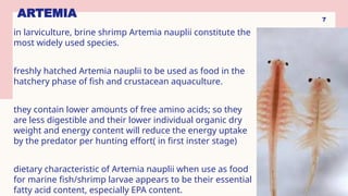 Live feed in aquaculture.pptx............ | PPTX