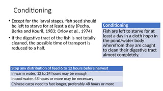 Live Fish handling and Tranportation.pptx