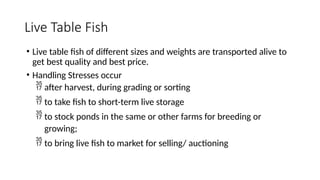 Live Fish handling and Tranportation.pptx