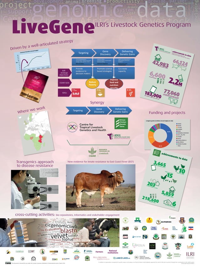 LiveGene: ILRI’s Livestock genetics program | PDF | Genetics | Science