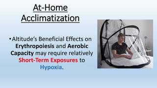 Live High Train Low | PPTX