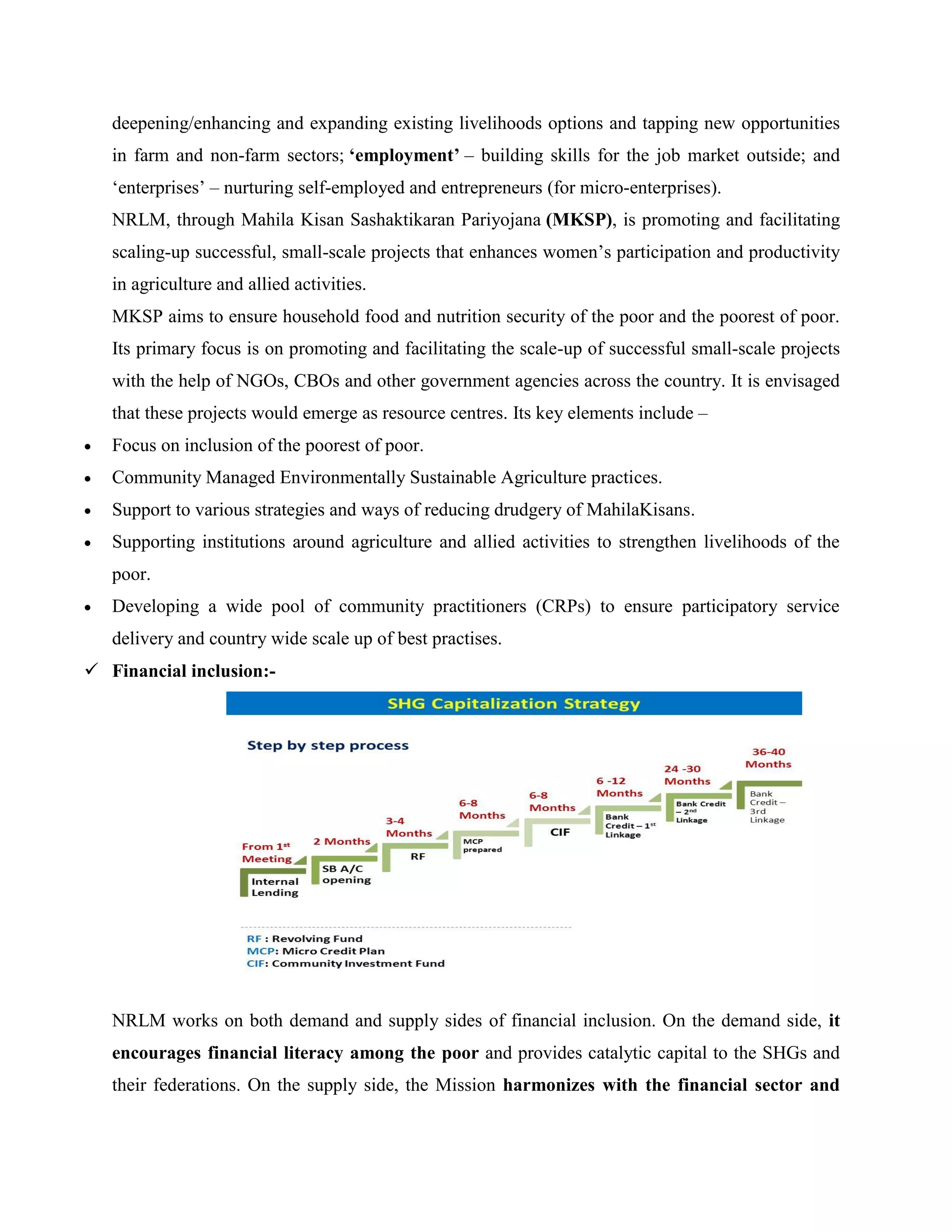 NRLM livelihood promotion strategy | PDF