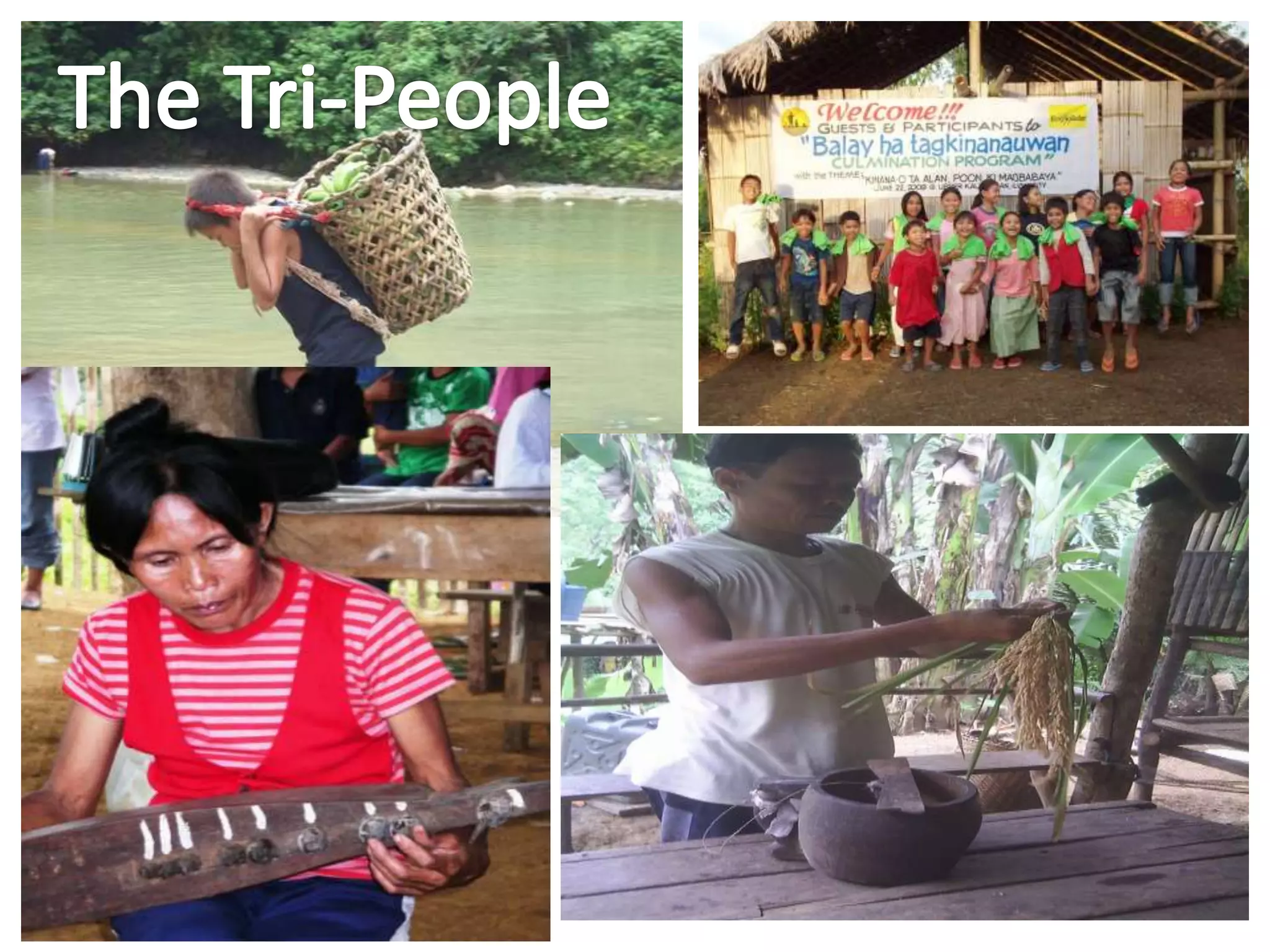Livelihood and food security | PPTX