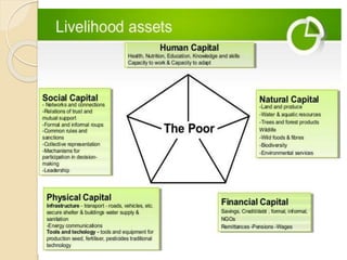 Livelihood approach ppt | PPTX
