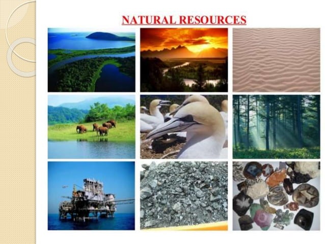 Livelihood approach ppt | PPTX | Science