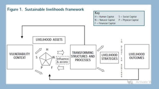 Livelihood framework | PPTX