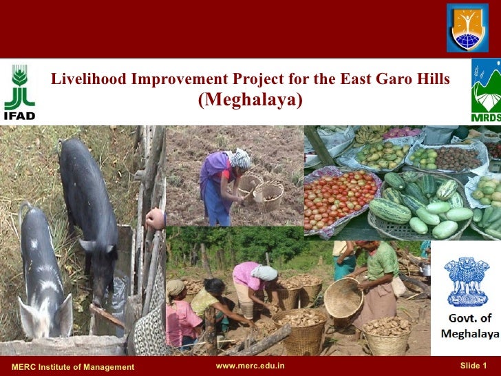 Livelihood Improvement Project For The East Garo Hills (Meghalaya)